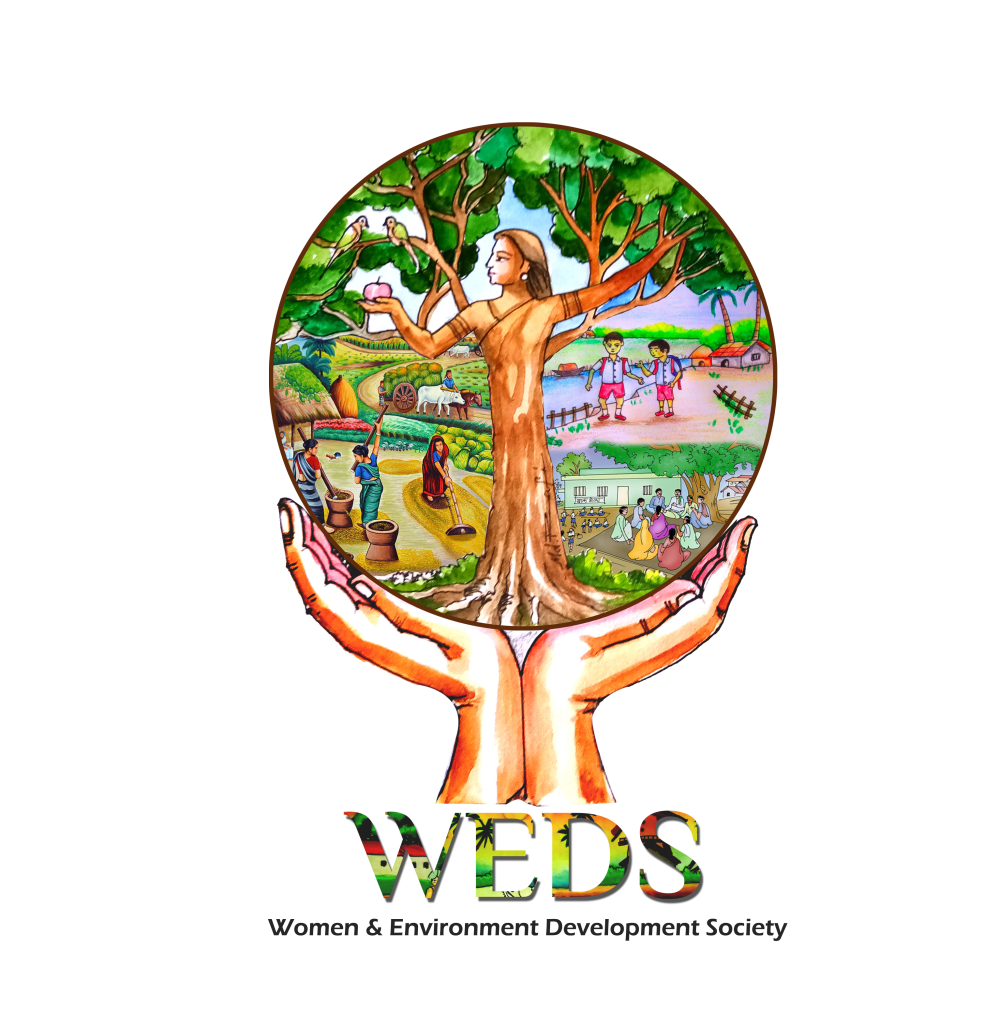 WEDS – NGO